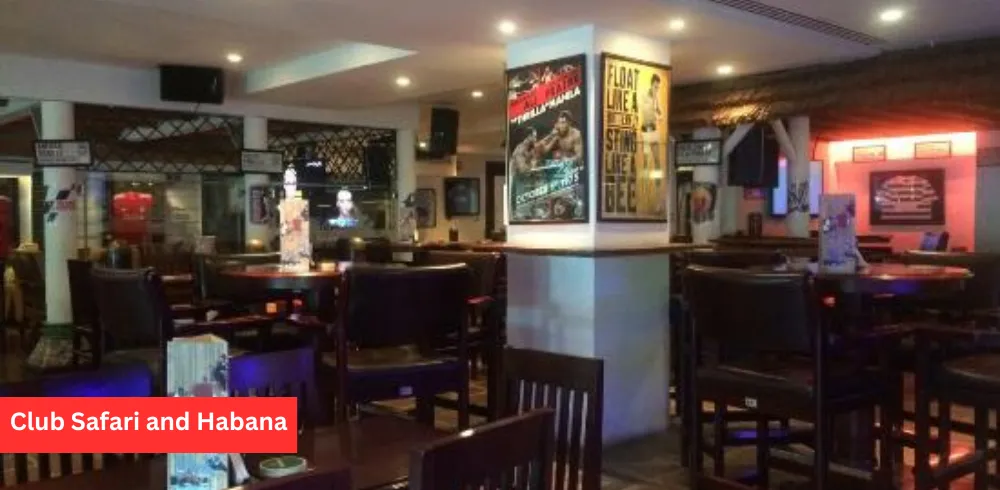 Oman Nightlife: Best Bars, Clubs & Cafes For Best Nightlife!